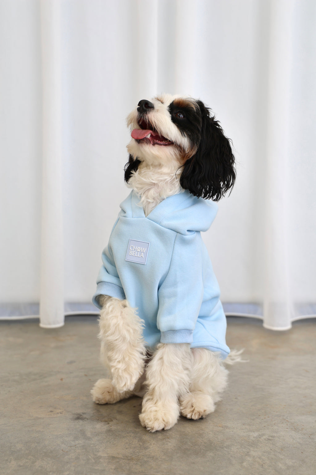 Hoodies – Chow Bella